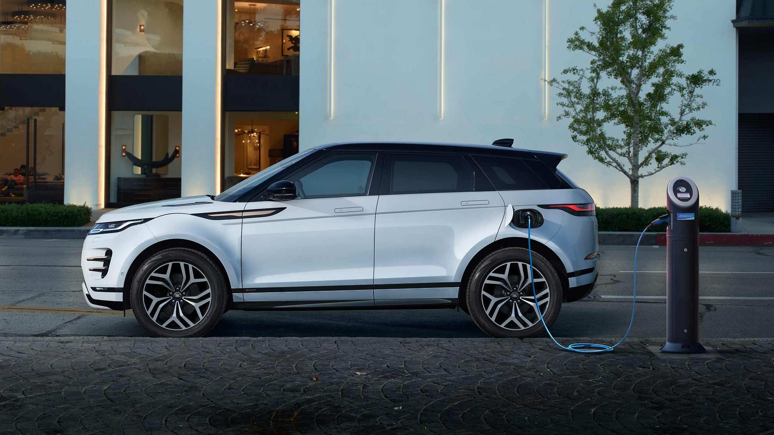 Special Fleets and Business Vehicle Sales - Fleet & Business - Land Rover