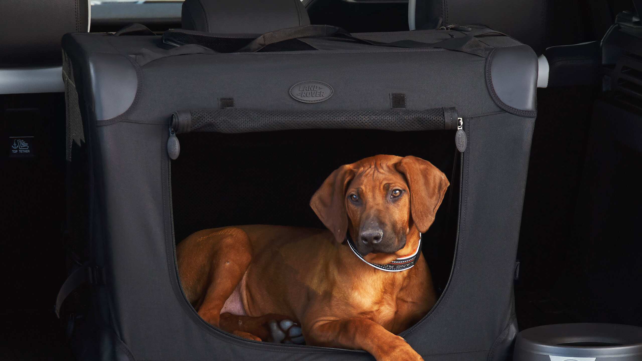 Pet Accessories - Ownership - Land Rover