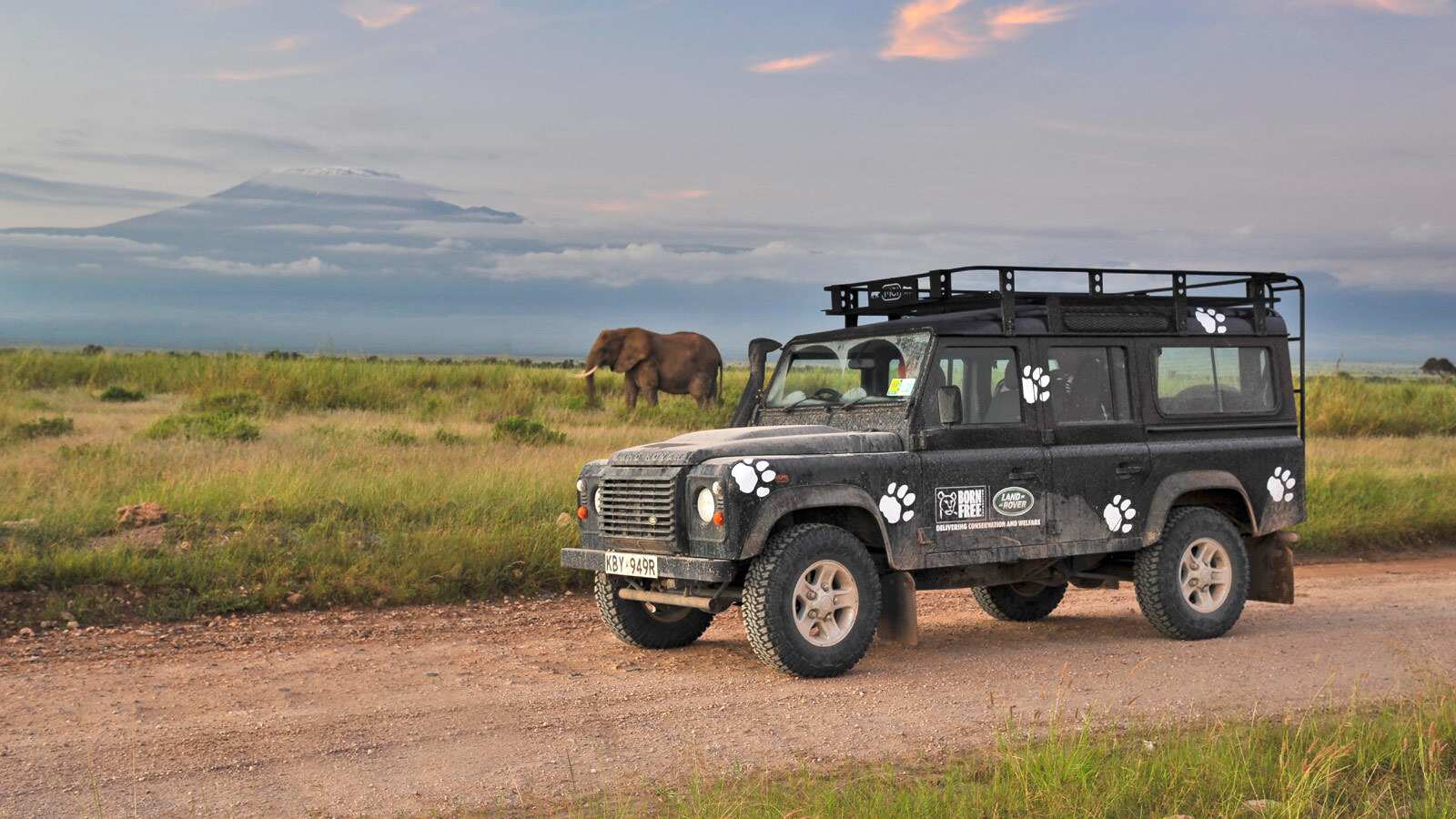 Born Free Foundation – Wildlife Conservation - Land Rover